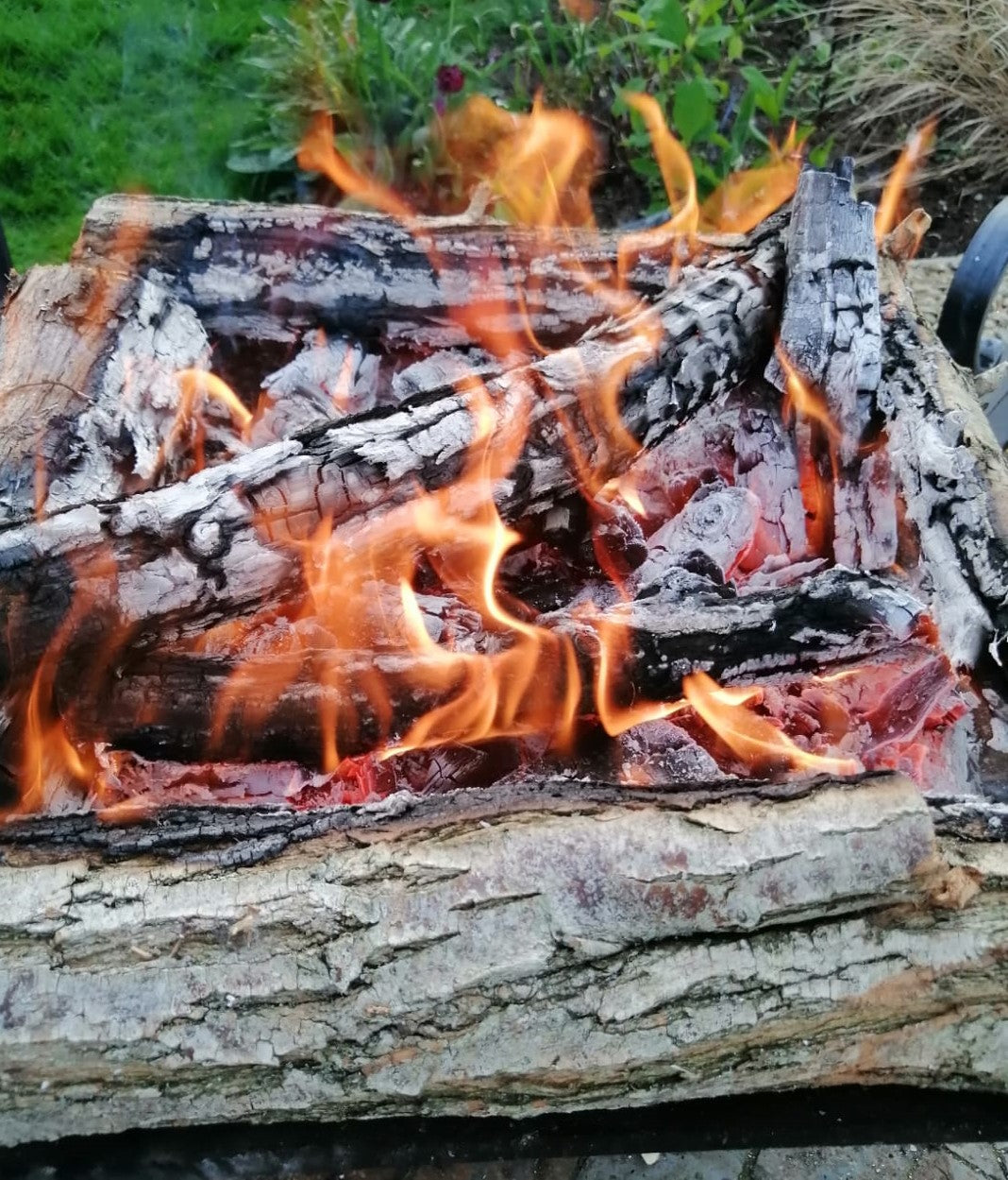 OUTDOOR COOKING – Shot Alot